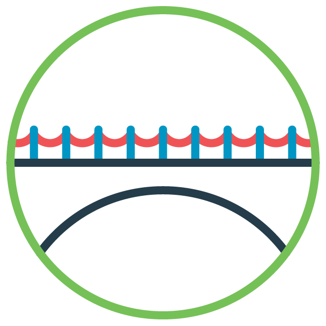 Career Bridge Research Grant - PeDRA